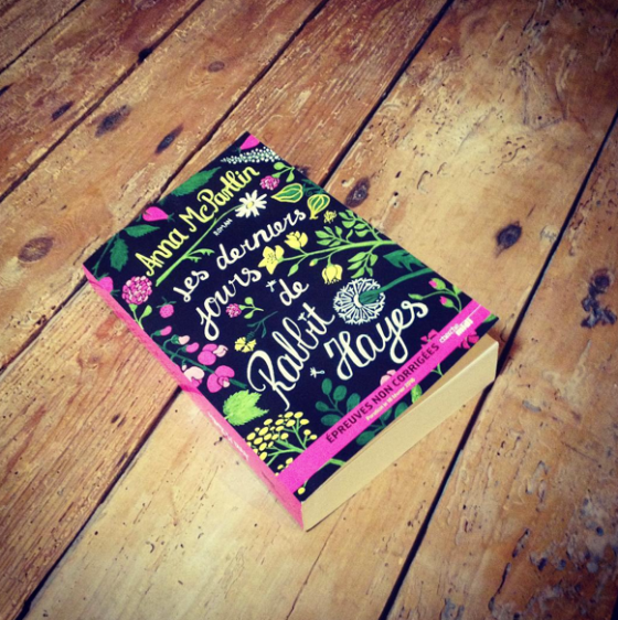 Les derniers jours de Rabbit Hayes • Anna McPartlin – LittlePrettyBooks ...