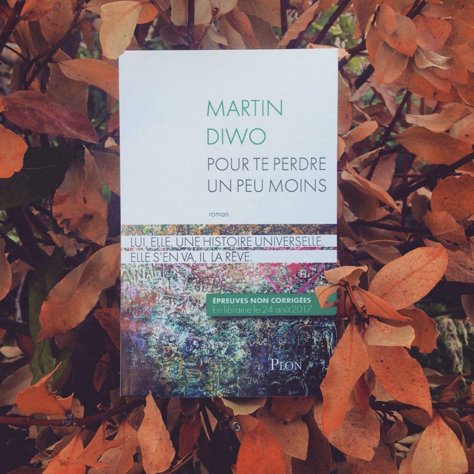 Pour te perdre un peu moins • Martin Diwo – LittlePrettyBooks – Blog ...